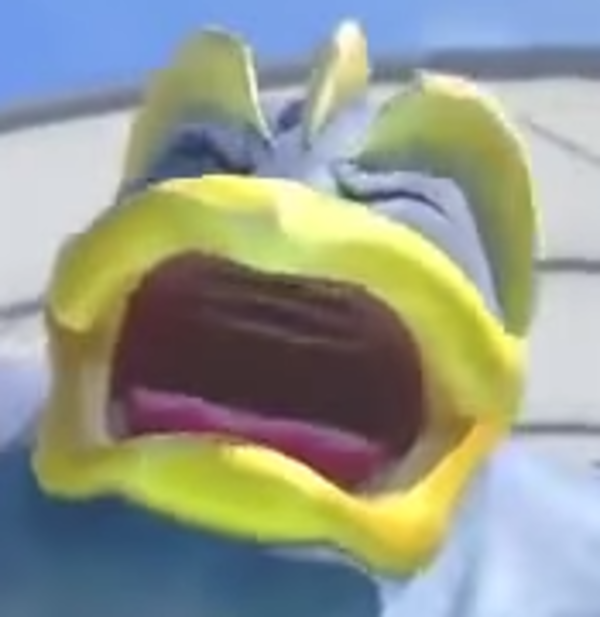 Anguish | Pokémon | Know Your Meme