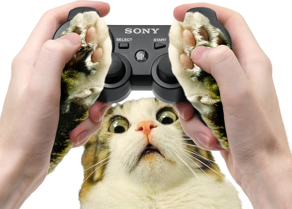 The Best Button Layout | Cats | Know Your Meme