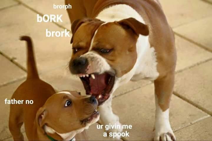 More dog variants | Stop It Son, You Are Doing Me A Frighten | Know ...