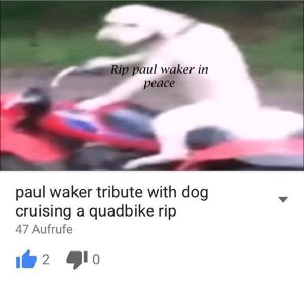 RIP PAUL WALKER IN PEACE | YouTube | Know Your Meme