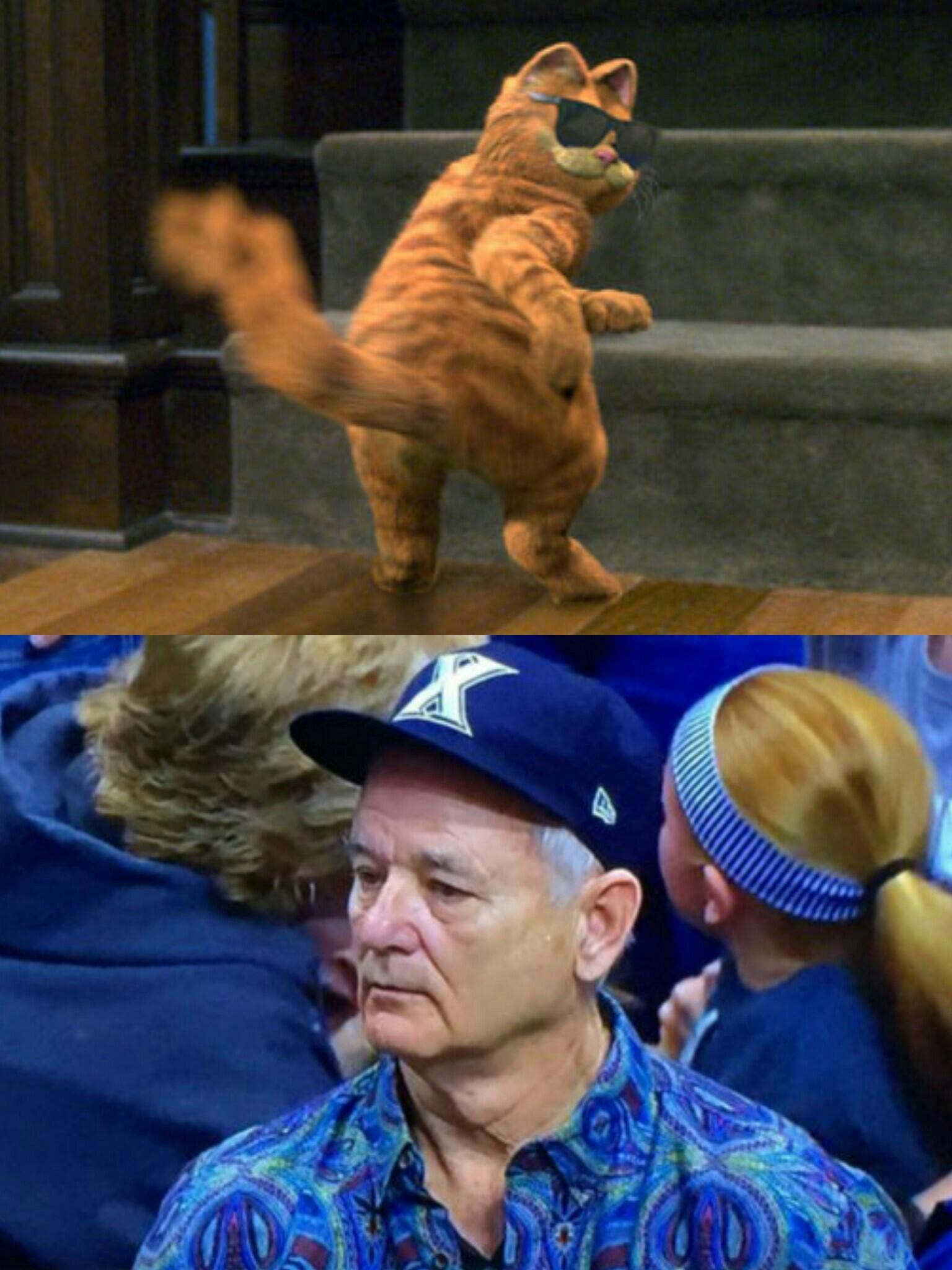 More than one reason to be sad | Sad Bill Murray | Know Your Meme