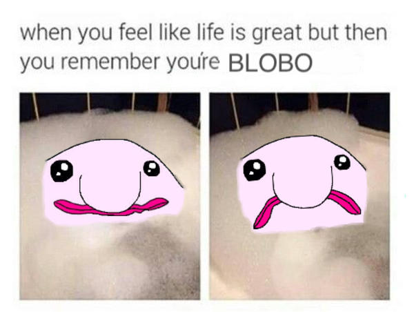 When you're blobo | Blobo | Know Your Meme