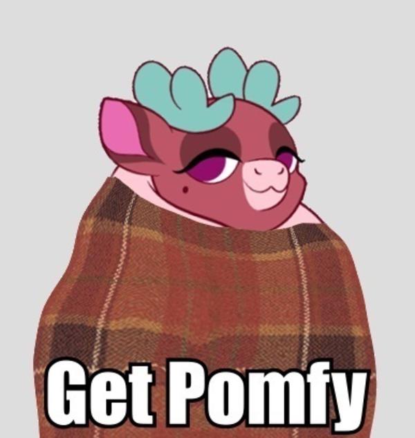 Get Pomfy (with caption) | Comfy Guy / YOBA Face | Know Your Meme