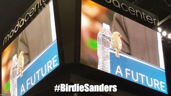 Bernie Sanders Gets Endorsed by Nature Itself | Birdie Sanders | Know ...