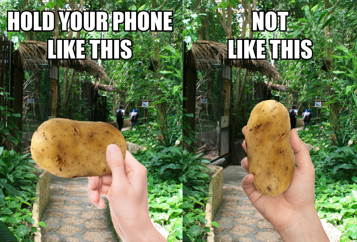 Time To Upgrade | Vertical Video Syndrome | Know Your Meme
