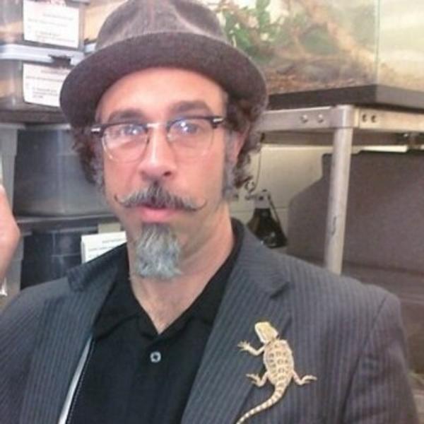 CPL | Cat's Cradle | Know Your Meme