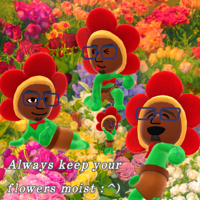 Moistomo | Miitomo | Know Your Meme