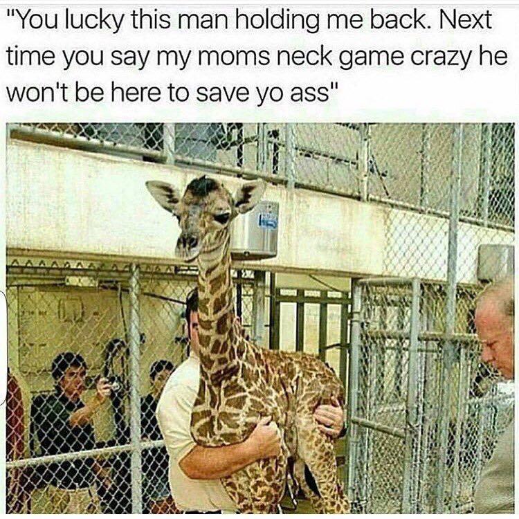 Giraffe Neck Game Crazy | Black Twitter | Know Your Meme