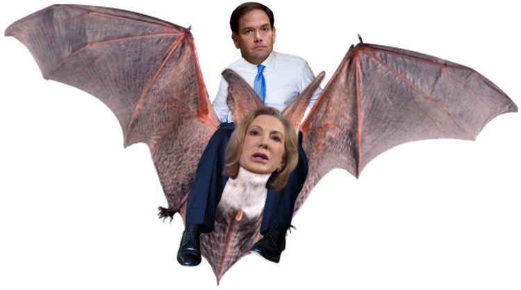 Marco Rubio riding Old Bat Carly Fiorina | Little Marco | Know Your Meme