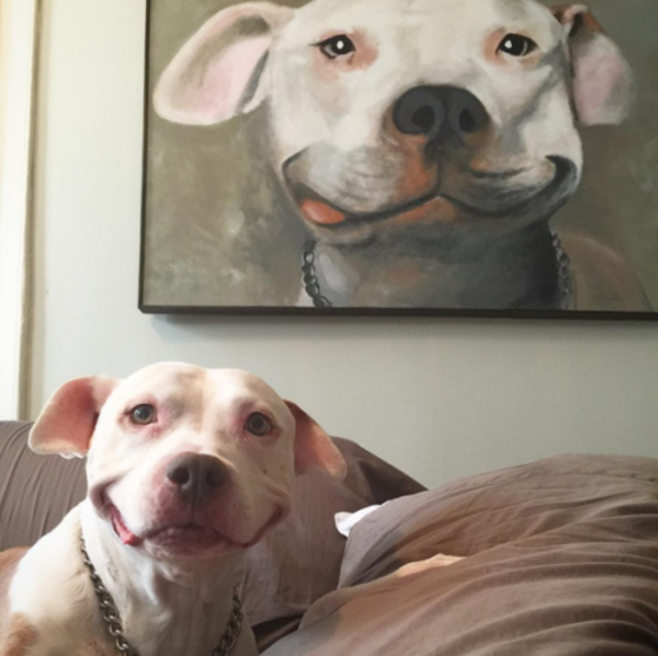 the portrait of his dog | Dogs | Know Your Meme