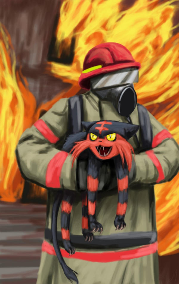 What happen if Litten burn your house. | Pokémon | Know Your Meme