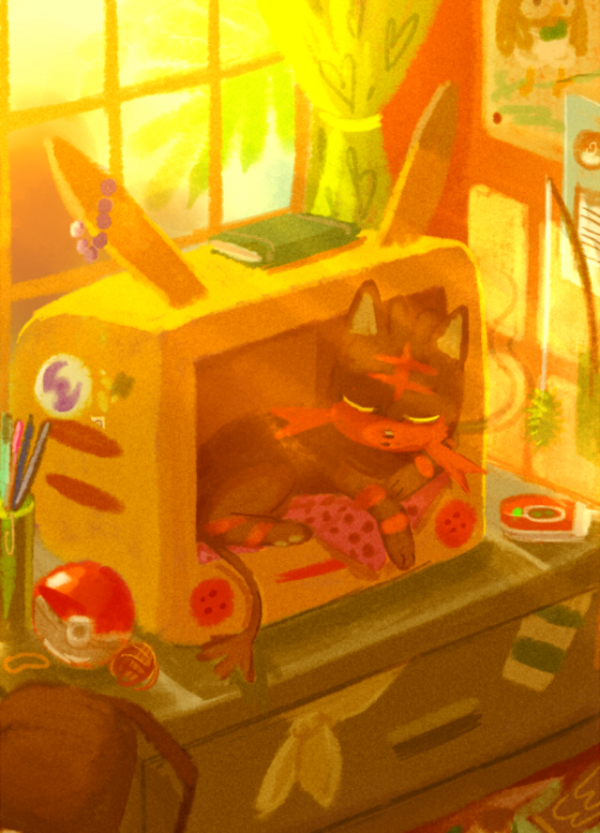 Litten sleeping. | Pokémon Sun and Moon | Know Your Meme