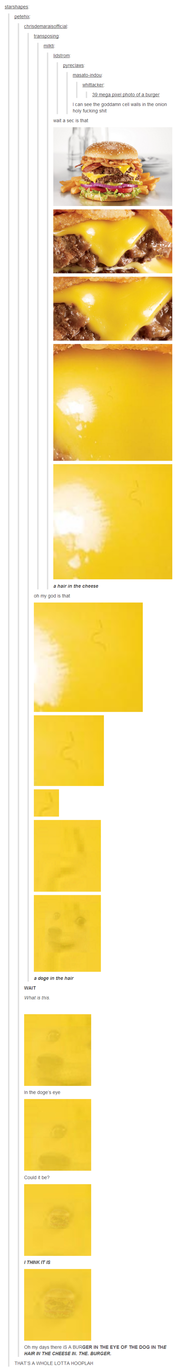 Whole lotta hoopla | SpongeBob SquarePants | Know Your Meme