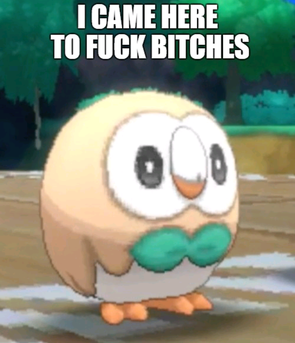 Rowlet's a Player | Rowlet's Roundness | Know Your Meme