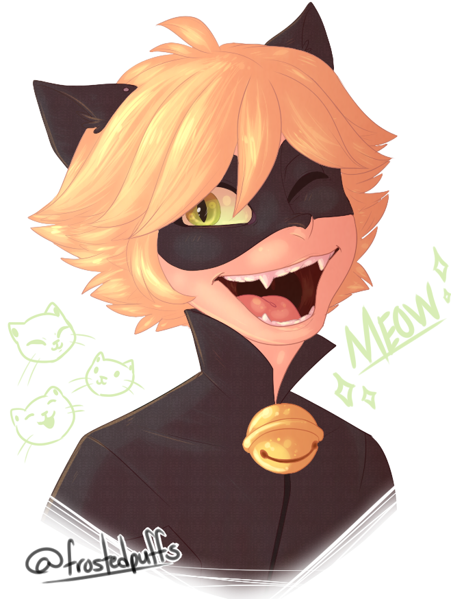 Meows In French | Miraculous Ladybug | Know Your Meme