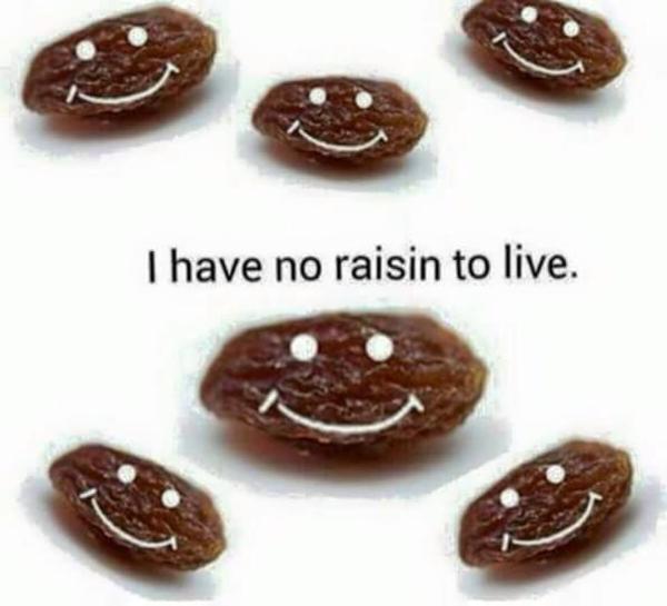 I have no raisin to live | Pun | Know Your Meme
