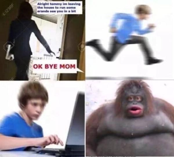 le monke | Le Monke | Know Your Meme