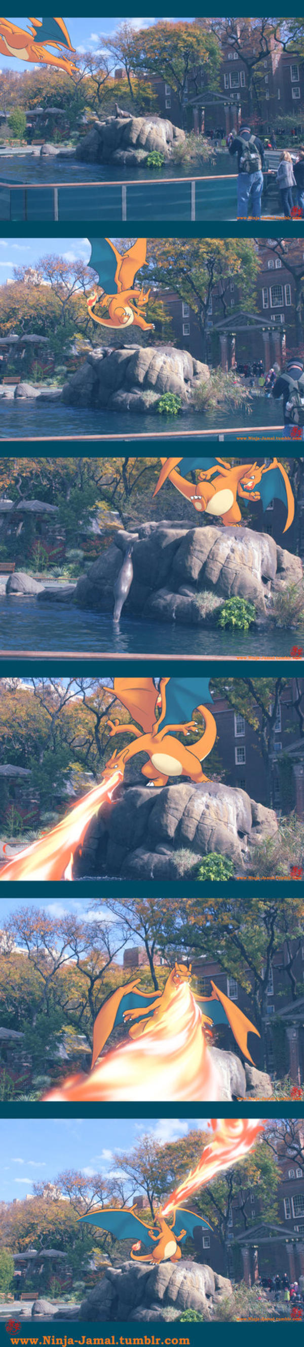 Charizard at the New York Zoo comic | Pokémon | Know Your Meme