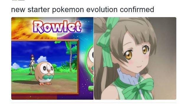 Rowlet Evolution Confirmed | Pokémon | Know Your Meme