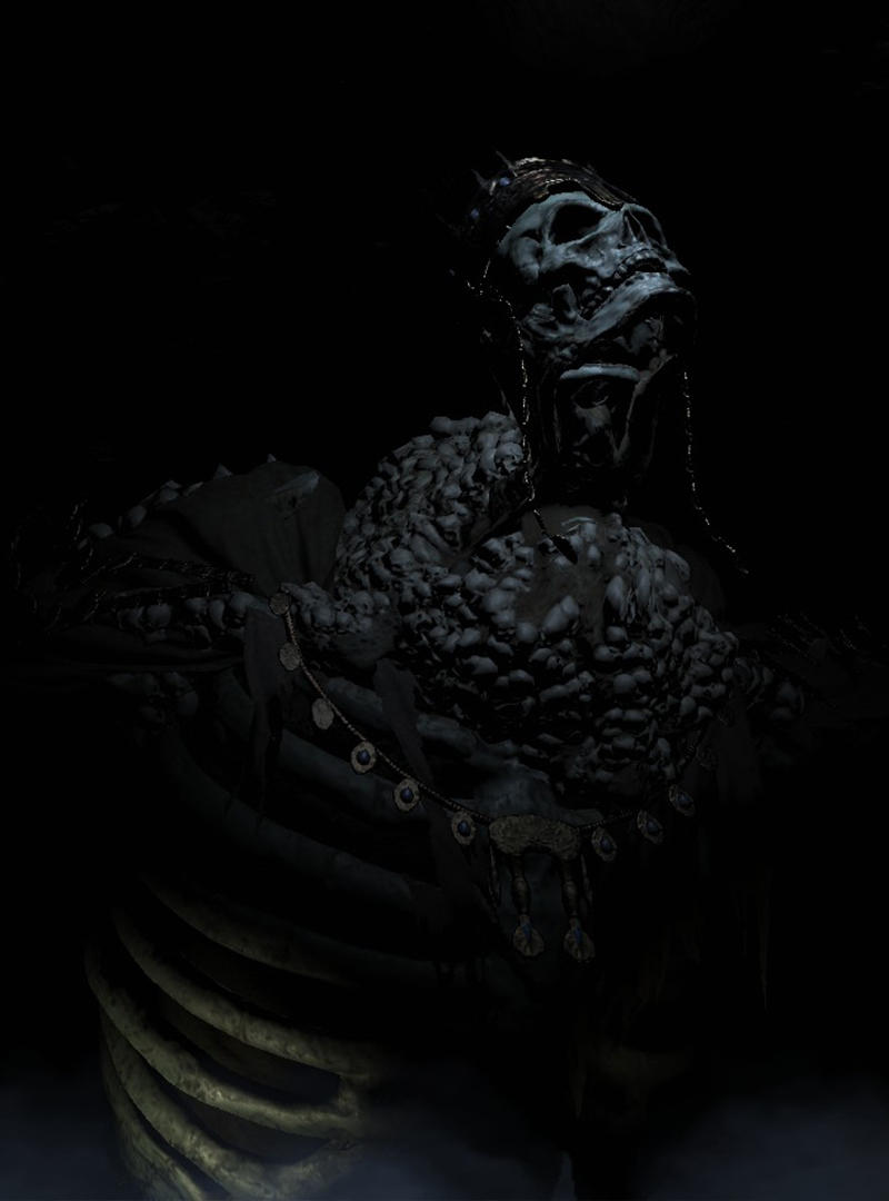 High Lord Wolnir in the Abyss | Dark Souls | Know Your Meme