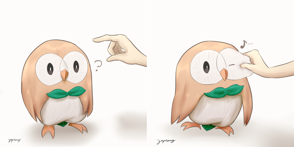 Rowlet getting touched by an guy. | Rowlet's Roundness | Know Your Meme