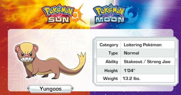 Yungoos info | Pokémon | Know Your Meme