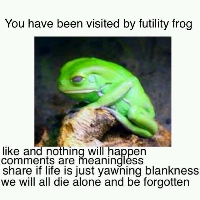 Futility Frog | If You See This Image While Scrolling / You Have Been ...