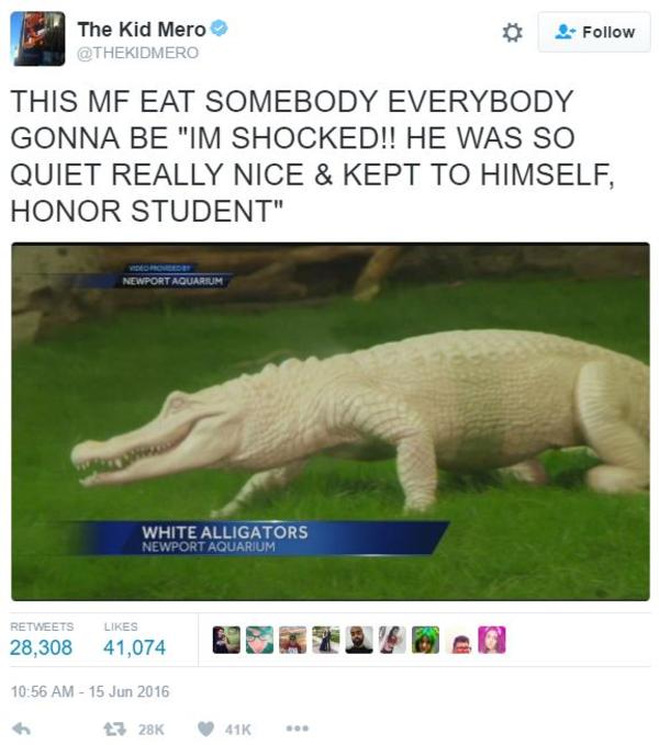 @TheKidMero Tweet | 2016 Disney Resort Alligator Attack | Know Your Meme