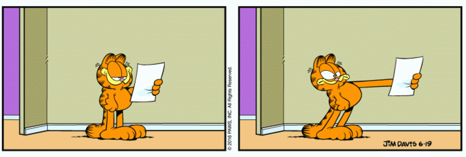 wtf | Garfield | Know Your Meme