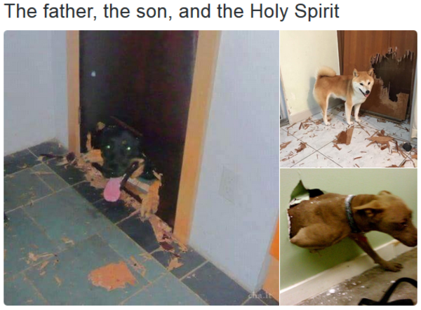 The Holy Trinity | Dogs | Know Your Meme