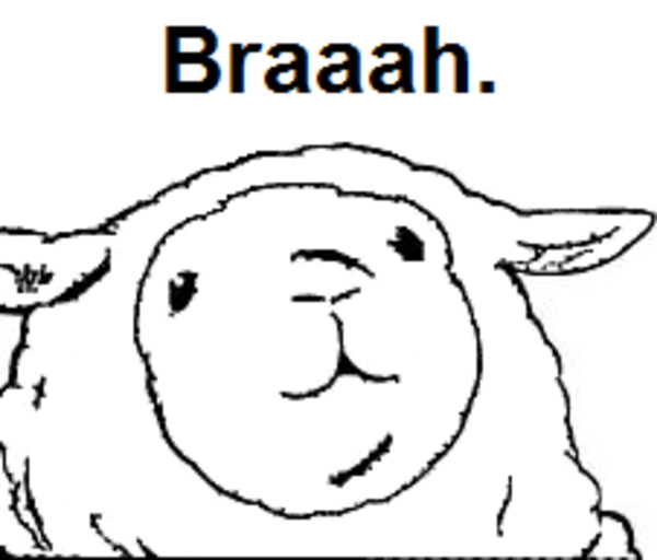 Braaah. | Bruh | Know Your Meme