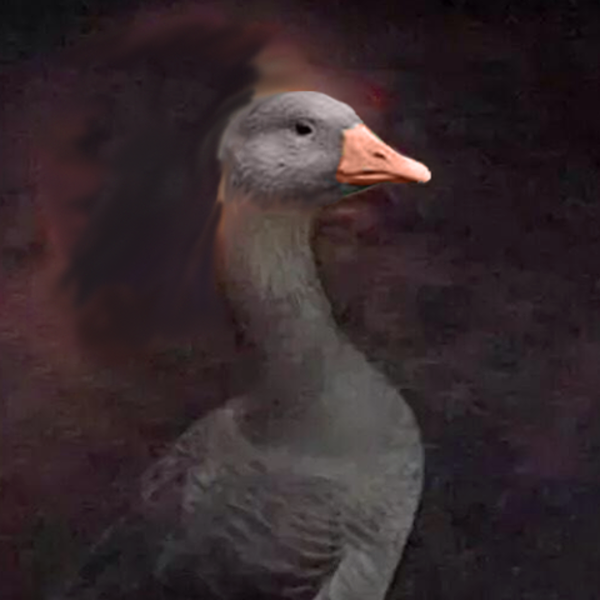 Majestic Goose on fire | Goose on Fire / Fire Duck | Know Your Meme