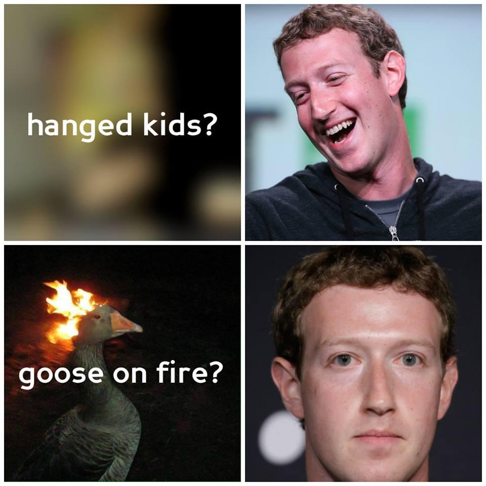 goose on fire | Goose on Fire / Fire Duck | Know Your Meme