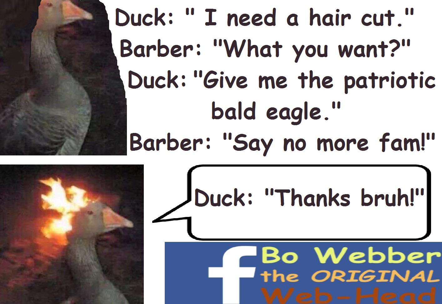 Goose needs a haircut | Goose on Fire / Fire Duck | Know Your Meme