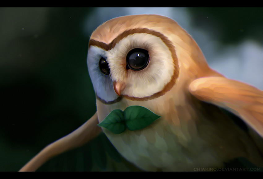 Rowlet by Chiakiro. | Rowlet's Roundness | Know Your Meme