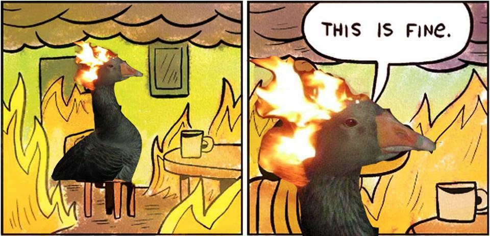 This is Fine | Goose on Fire / Fire Duck | Know Your Meme