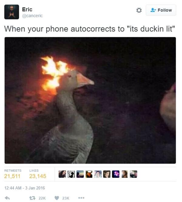 Phone Corrects to Its Duckin Lit | Goose on Fire / Fire Duck | Know ...