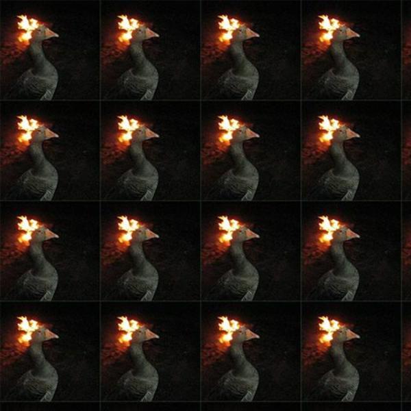 Tiled | Goose on Fire / Fire Duck | Know Your Meme