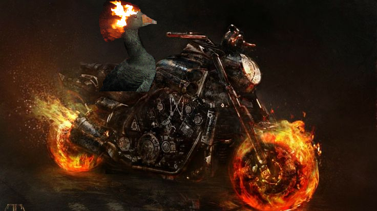 Goose Rider | Goose on Fire / Fire Duck | Know Your Meme