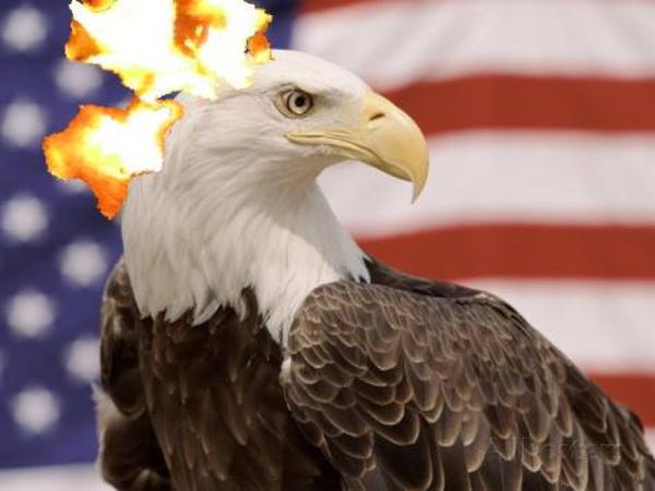 'Murica on fire | Goose on Fire / Fire Duck | Know Your Meme