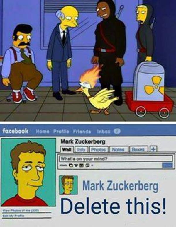 delet dis | Goose on Fire / Fire Duck | Know Your Meme