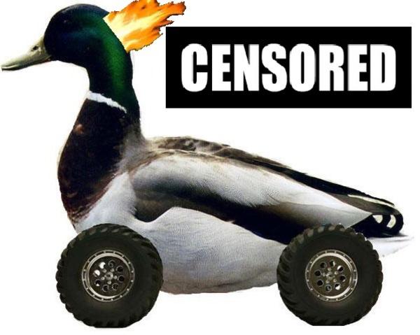 Fire Duckroll | Goose on Fire / Fire Duck | Know Your Meme