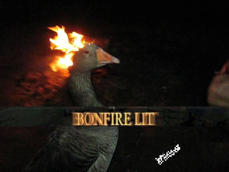 Bonfire Duck | Goose on Fire / Fire Duck | Know Your Meme