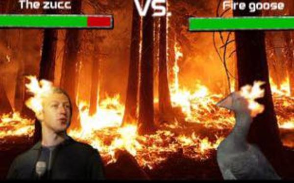 Fire Duck vs Fire Zucc | Goose on Fire / Fire Duck | Know Your Meme