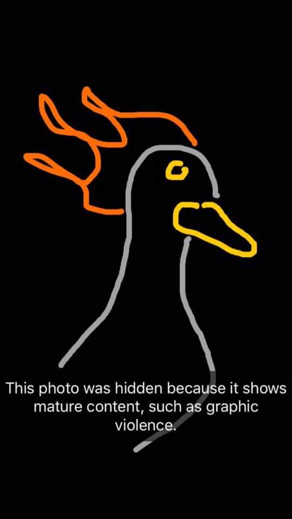 Low budget fire duck | Goose on Fire / Fire Duck | Know Your Meme
