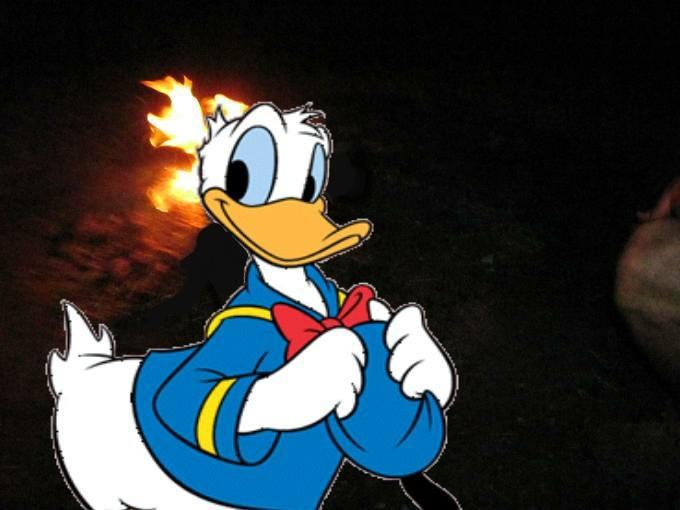 Flaming Donald | Goose on Fire / Fire Duck | Know Your Meme
