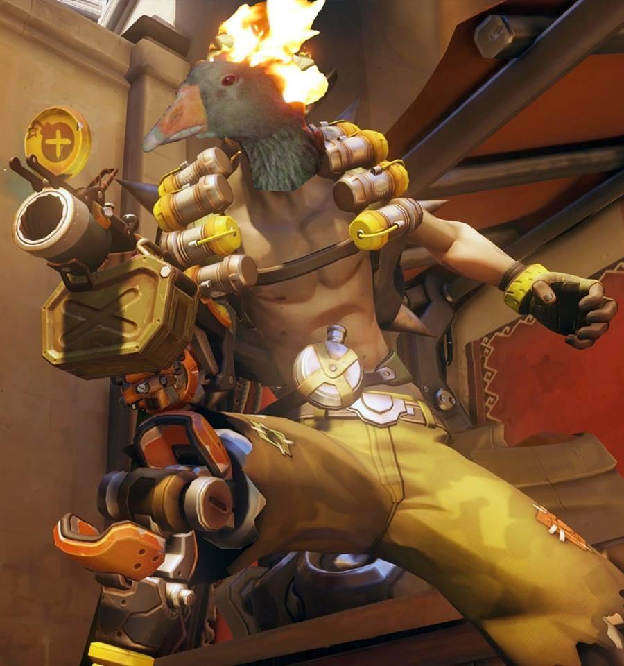 JunkGoose | Goose on Fire / Fire Duck | Know Your Meme