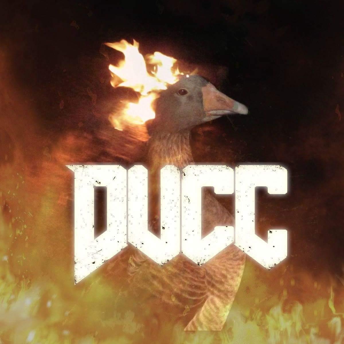 Ducc | Goose on Fire / Fire Duck | Know Your Meme