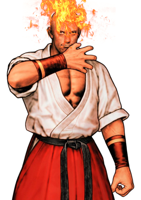 Geese on fire | Goose on Fire / Fire Duck | Know Your Meme