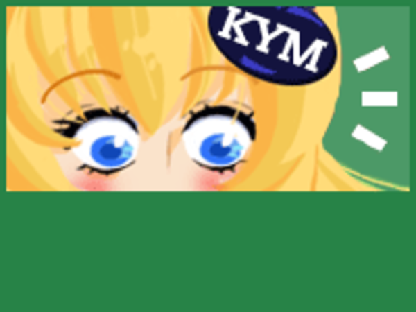 Large Image Tag Proposal | KYM-tan | Know Your Meme